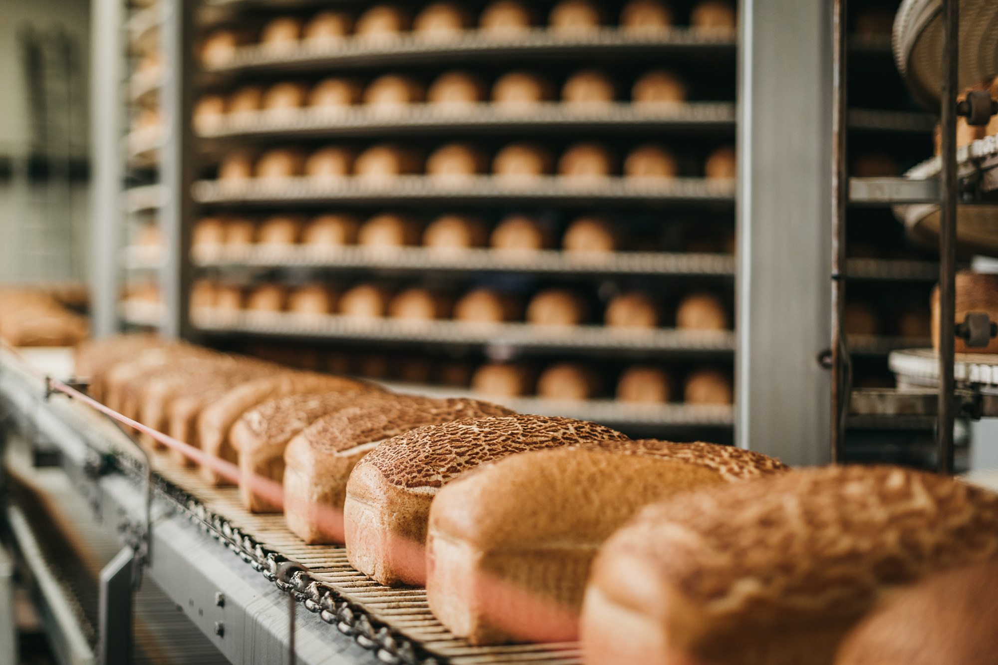 Can You Automate The Production Of Artisan Bread LMC